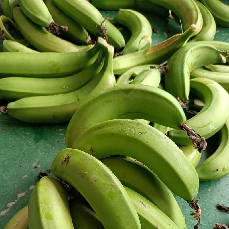 China Wholesale Banana Drying Machine Manufacturers & Suppliers - Dryera