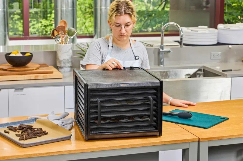 Meal Prep Made Easy with A Cabinet Type Dehydrator - Dryera